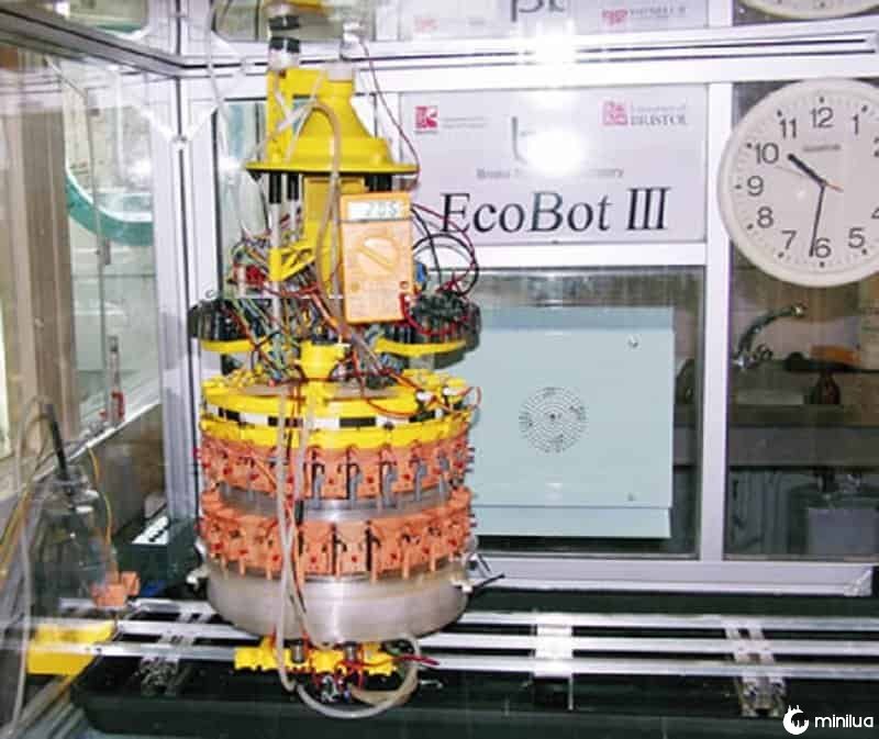 10 Robôs legais e impressionantes do mundo todo - Minilua