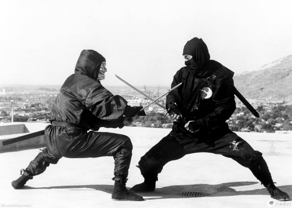 10 fatos surpreendentes que você não sabia sobre Ninjas - Minilua