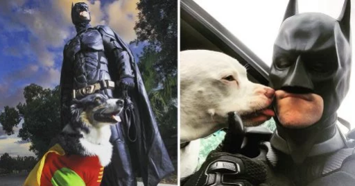 Batman da vida real resgata animais e ajuda-os a encontrar um lar ...